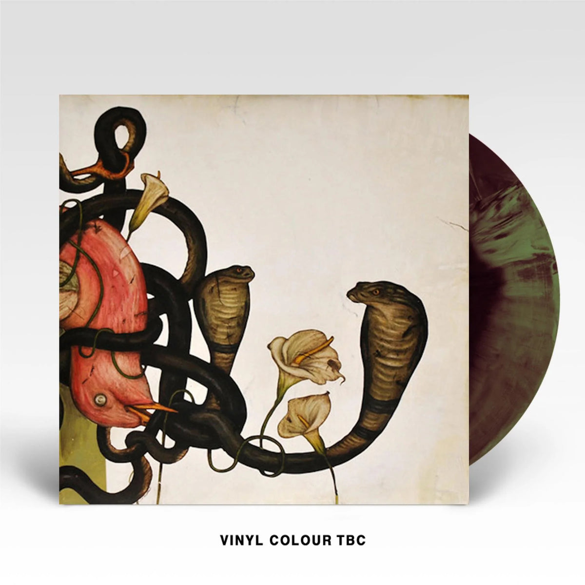 Rival Sons - Head Down – Cool Discs Music