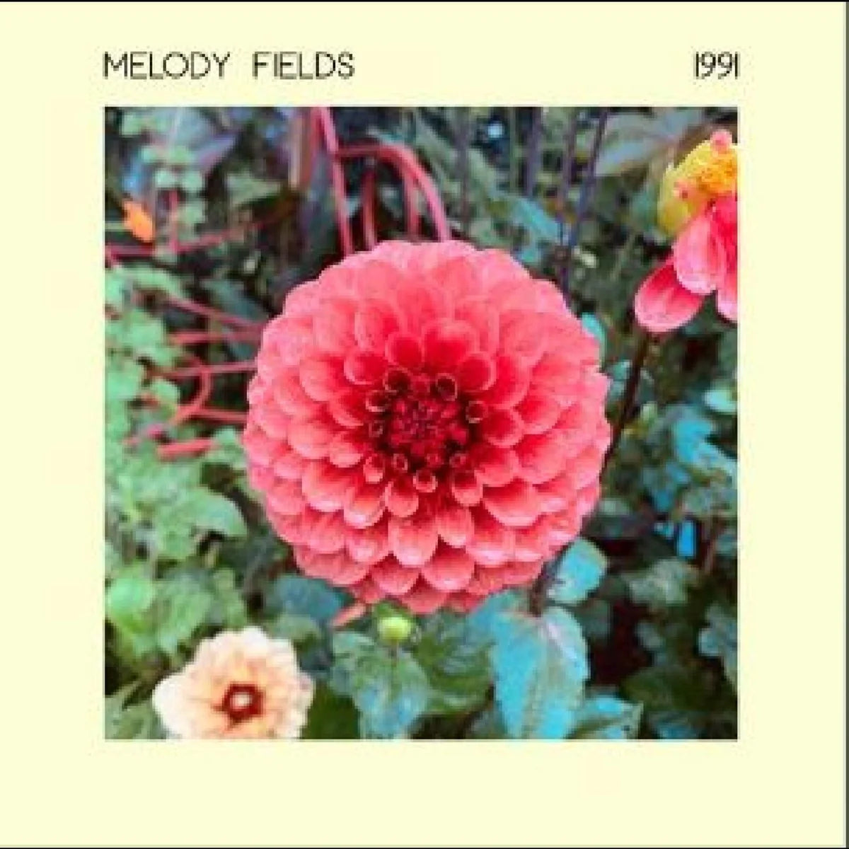 MELODY FIELDS - 1991 [VINYL] – Cool Discs Music
